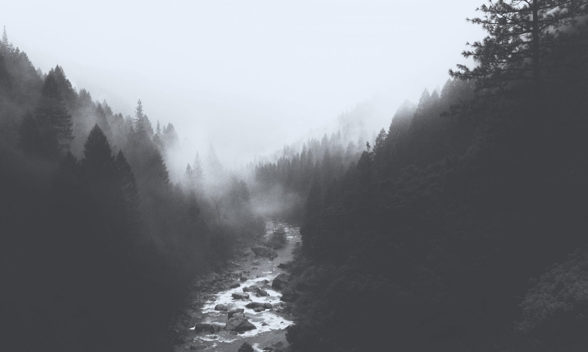 Asking the Difficult Questions: Existence, Suffering, and the Ethical ...